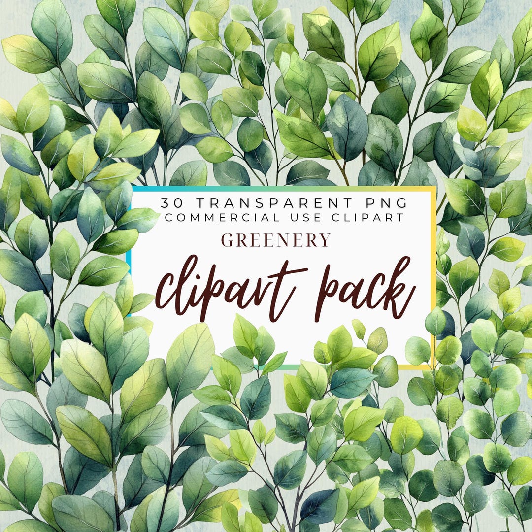 Eucalyptus PNG, Watercolor Eucalyptus Clipart Bundle, Greenery Clipart ...