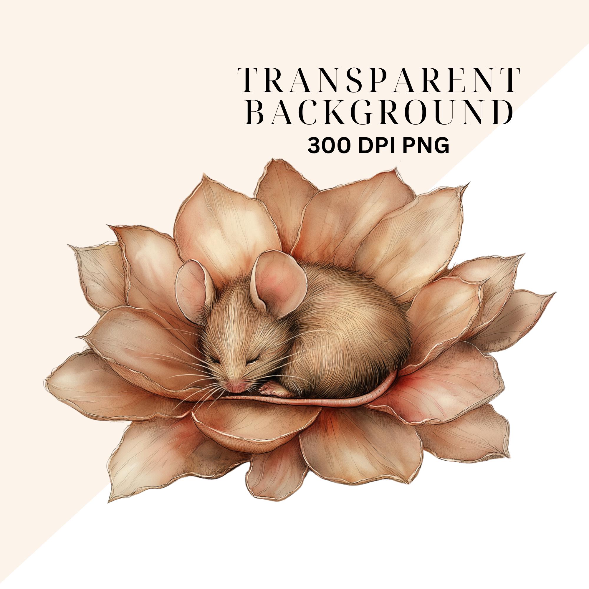 Adorable Mouse Sleeping in a Flower Clipart, Instant Download, Art for ...