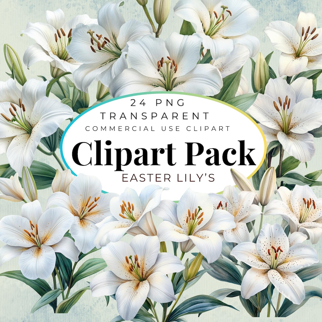 Easter Lily Clipart | 24 High Quality Transparent PNG | Digital ...