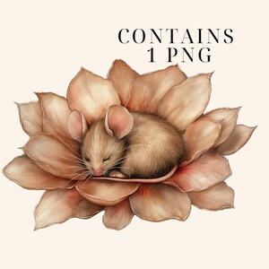 Adorable Mouse Sleeping in a Flower Clipart, Instant Download, Art for ...
