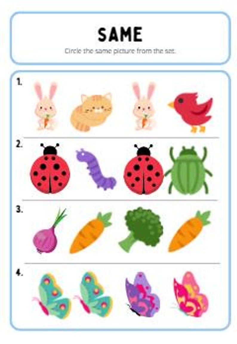 Kitty Playful Same and Different Activity Book Printable Worksheet - Etsy