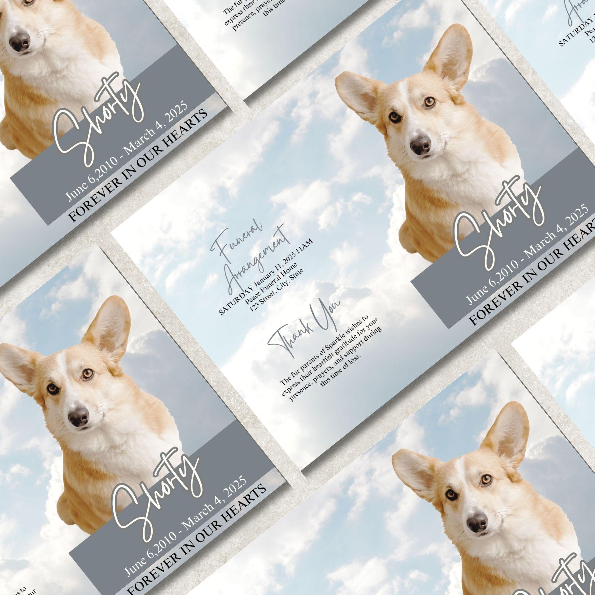 Pet Memorial Funeral Program With Cloud Background – Editable Canva ...
