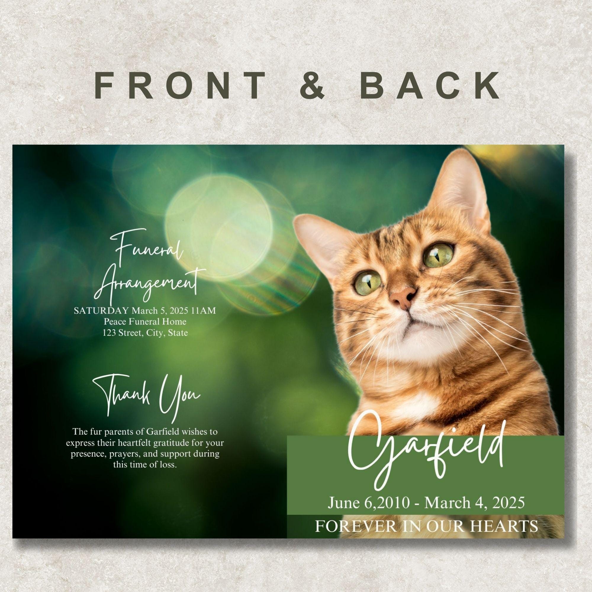 Green Pet Memorial Funeral Program – Editable Canva Obituary Template ...