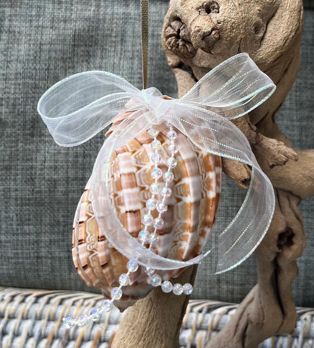Sea Shell Ornament Harpa Shell Christmas Ornament Holiday Ornament