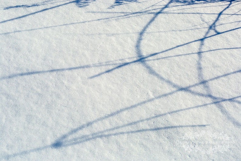 Photograph of Snow Minimalist Decor Nature Print | Etsy