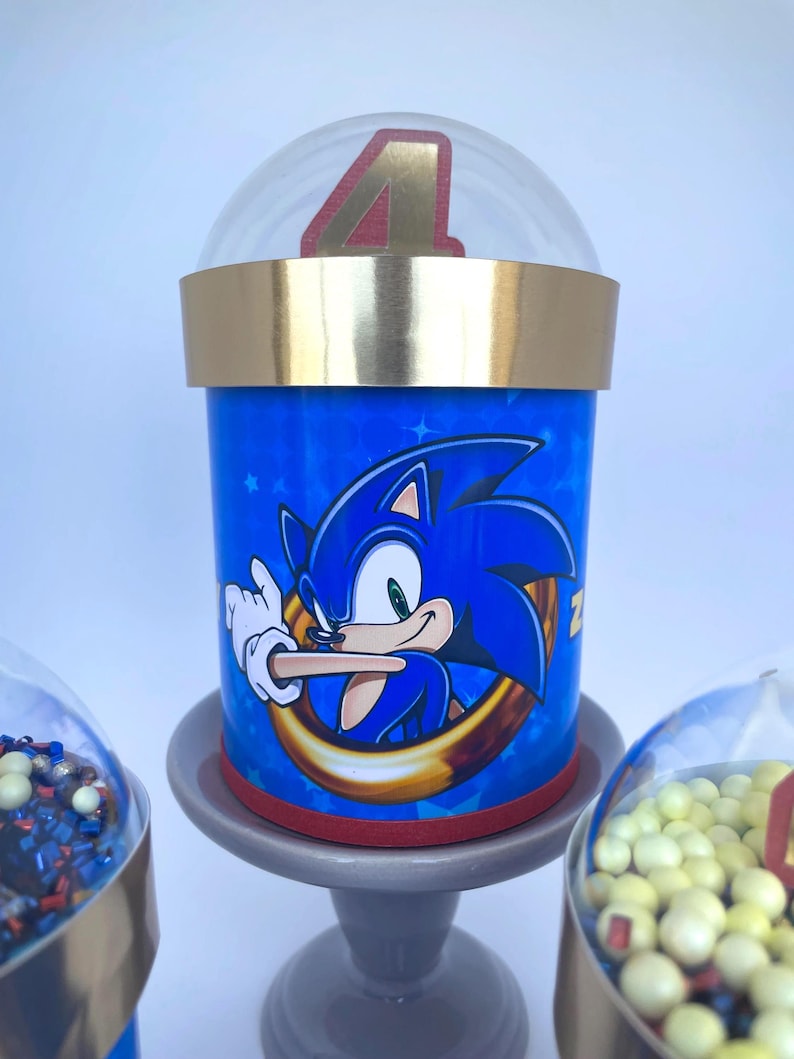 Sonic Party Favor: Chip Can - Etsy