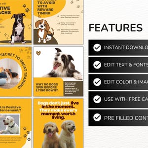 Dog Training Social Media Templates, Pet Business Canva Posts (180+) - Etsy