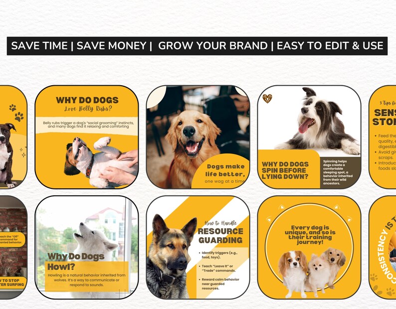 Dog Training Social Media Templates, Pet Business Canva Posts (180+) - Etsy