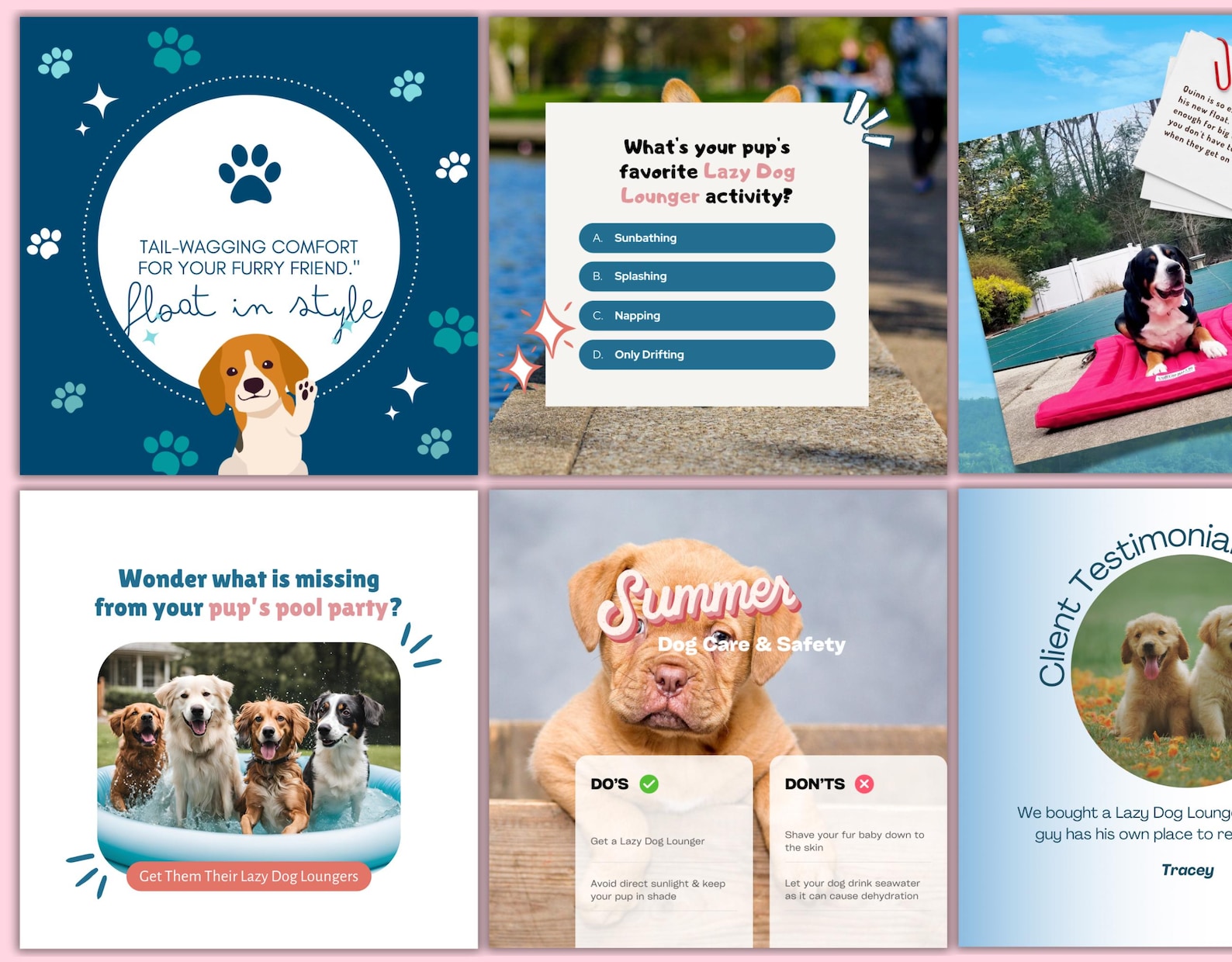 Pet Care Social Media Posts Healthcare Pet Products and Canva Templates ...