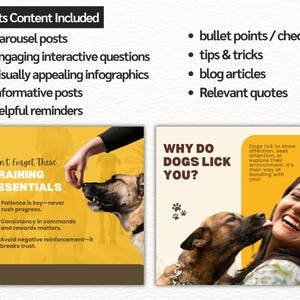Dog Training Social Media Templates, Pet Business Canva Posts (180+) - Etsy