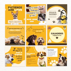 Dog Training Social Media Templates, Pet Business Canva Posts (180+) - Etsy
