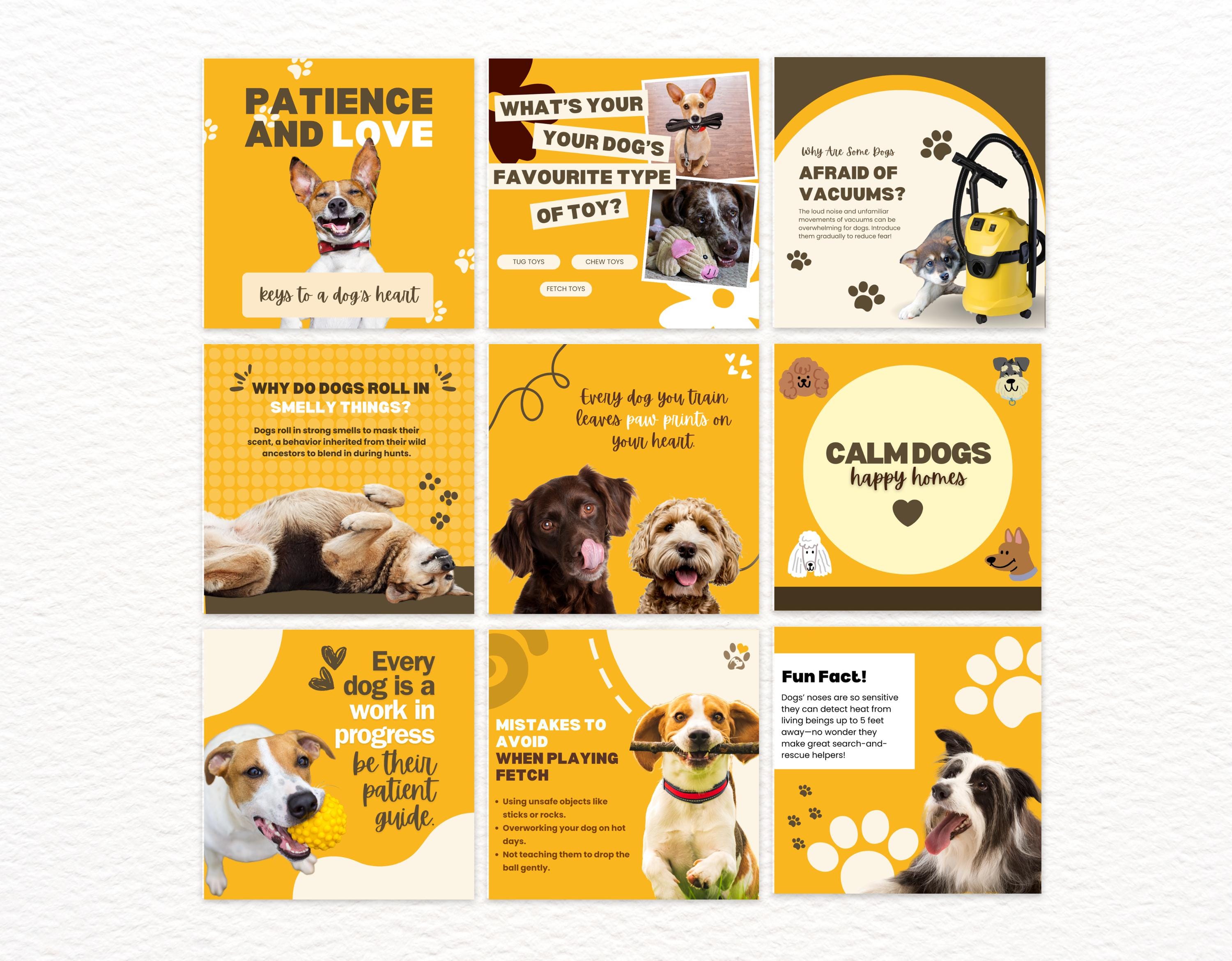 Dog Training Pet Care Social Media Templates Editable Canva Posts for ...