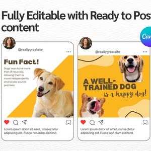Dog Training Social Media Templates, Pet Business Canva Posts (180+) - Etsy