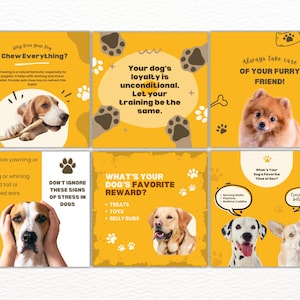 Dog Training Social Media Templates, Pet Business Canva Posts (180+) - Etsy