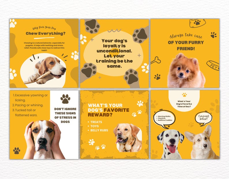Dog Training Social Media Templates, Pet Business Canva Posts (180+) - Etsy
