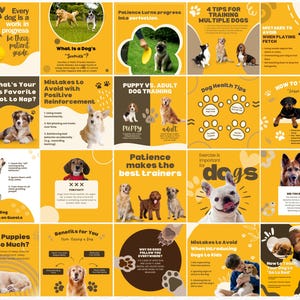 Dog Training Social Media Templates, Pet Business Canva Posts (180+) - Etsy
