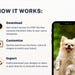 Dog Training Social Media Templates, Pet Business Canva Posts (180+) - Etsy