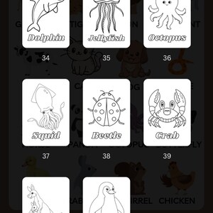 Animals Colouring Book Digital Product - Etsy