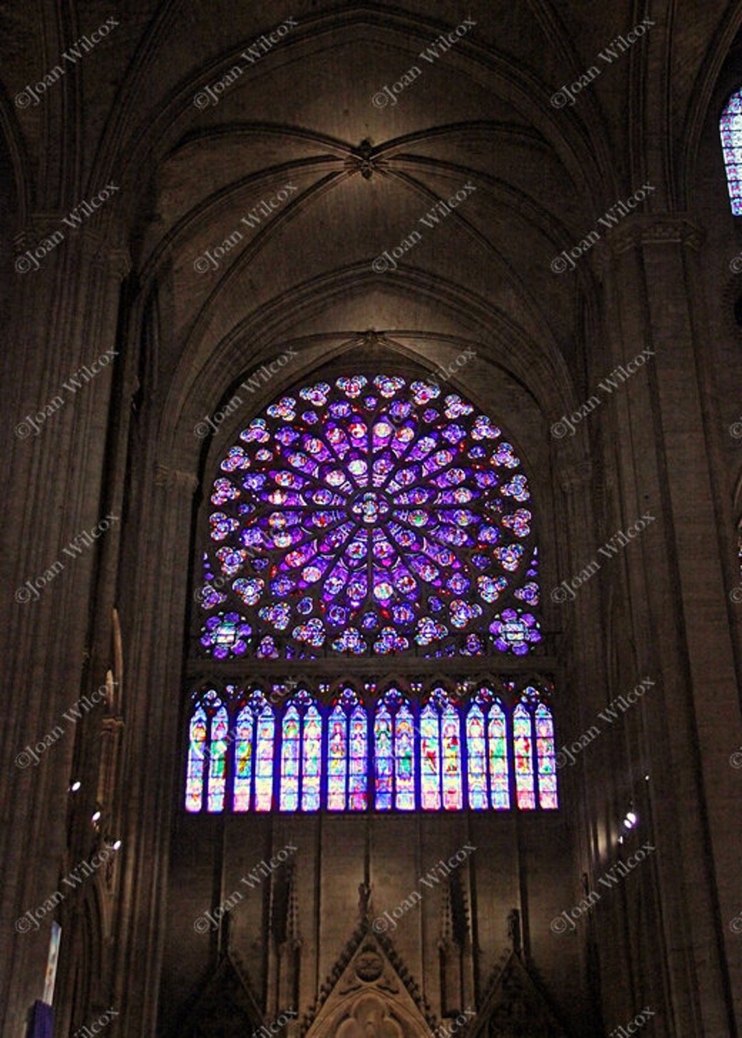 Interior Notre Dame Cathedral Rose Window Paris France Original Fine ...