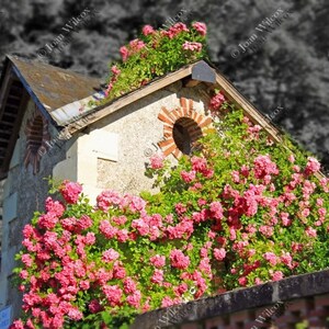 Beautiful French Architecture Floral Cupola Belfry Tower Spring Summer ...
