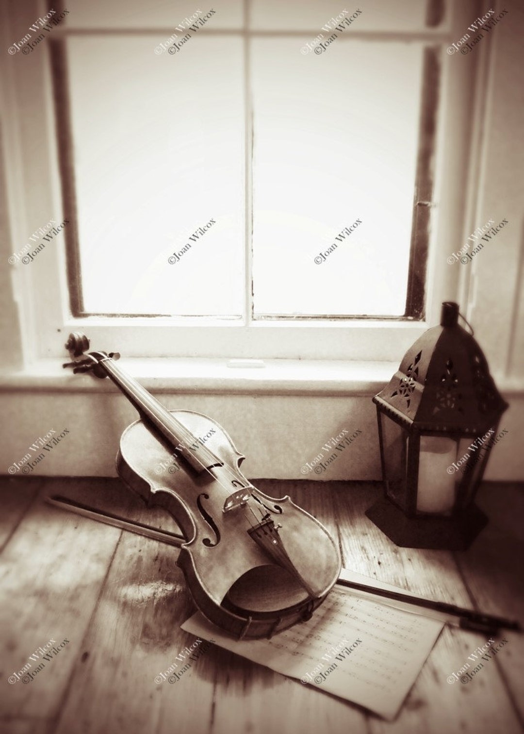 The Conservatory Window to Music Violin Bow and Lantern Still Life ...