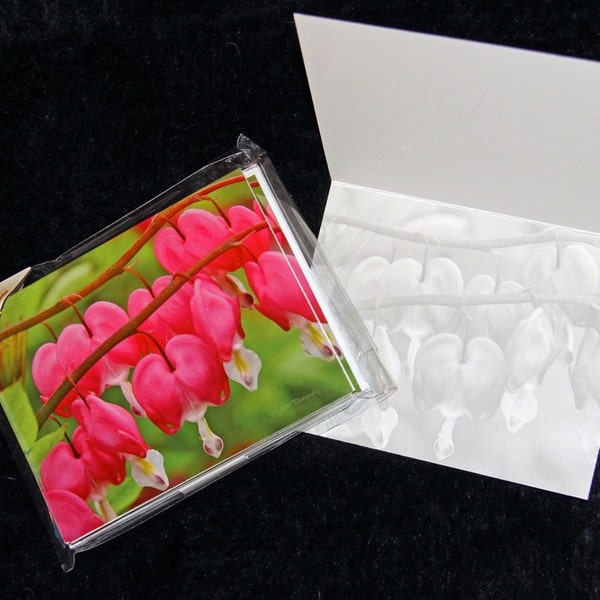 Bleeding Heart - Etsy