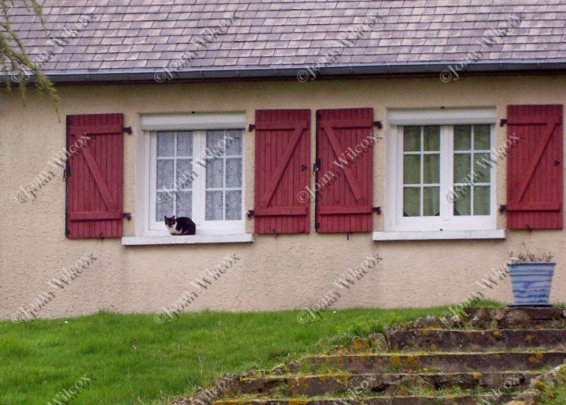 Breton Kitty Cat Kitten in Windowsill W/ Shutters Brittany France Fine ...