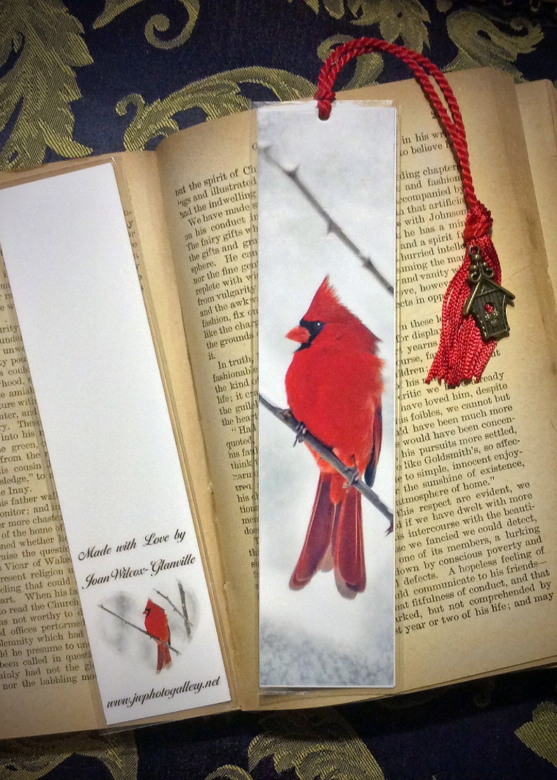 Laminated Snowy Red Cardinal Male Bird Photo Bookmark W/ Antique Bronze Birdhouse Charm - Etsy
