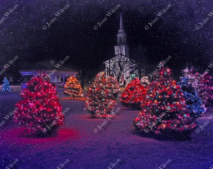 Pretty Lighted Memorial Christmas Trees in Leichester, NY Fine Art ...