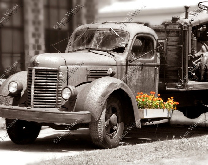 Vintage Decayed Truck Old Antique Spring Summer Flowers Marigolds Color ...