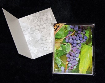 Grapes Note Cards Set of 10 With Matching Envelopes - Etsy