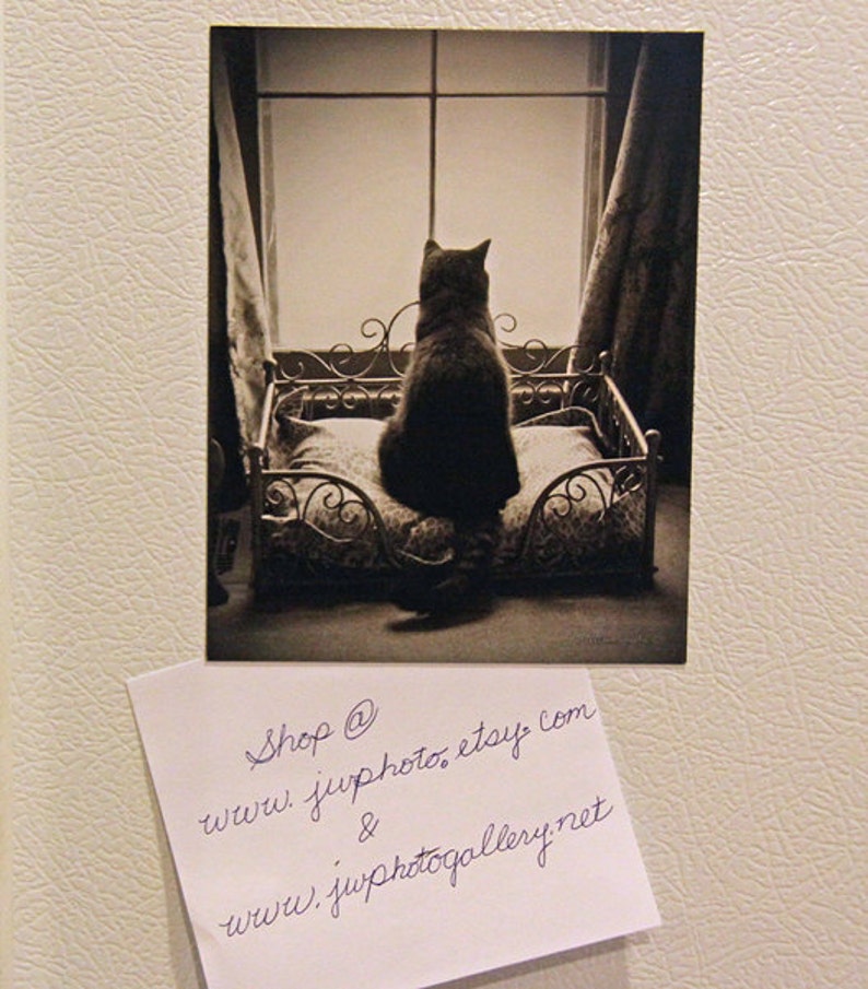 Sepia Tone Kitty Cat Waiting Patiently Photo Magnet- 5.5. X 4.25 Inches ...