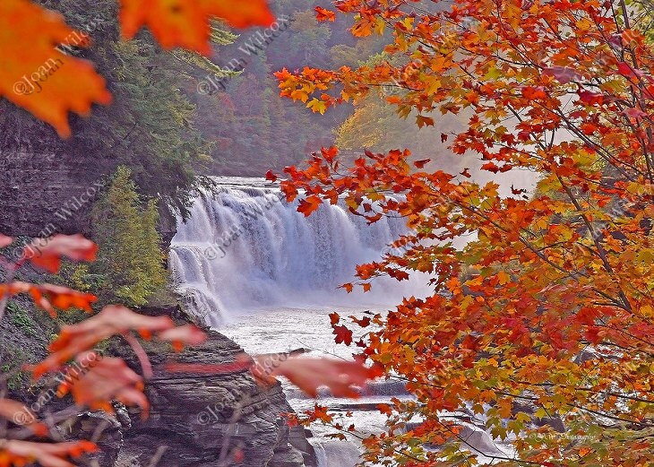 Scenic Letchworth State Park Waterfall, NY, Autumn Foliage Original ...