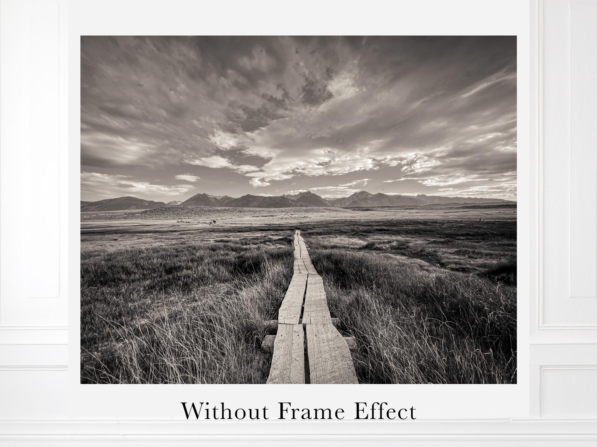 Walkway Landscape Photography Home Decor Wall Art Framed Canvas ...