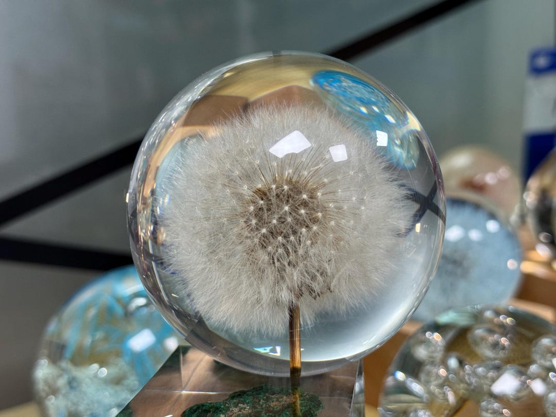 Dandelion Resin Paperweight, Dandelion Sphere, Dandelion Desk Home ...