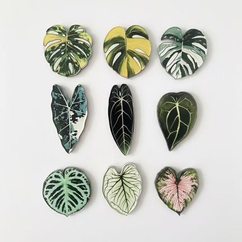 Monstera Leaves Magnets - Etsy