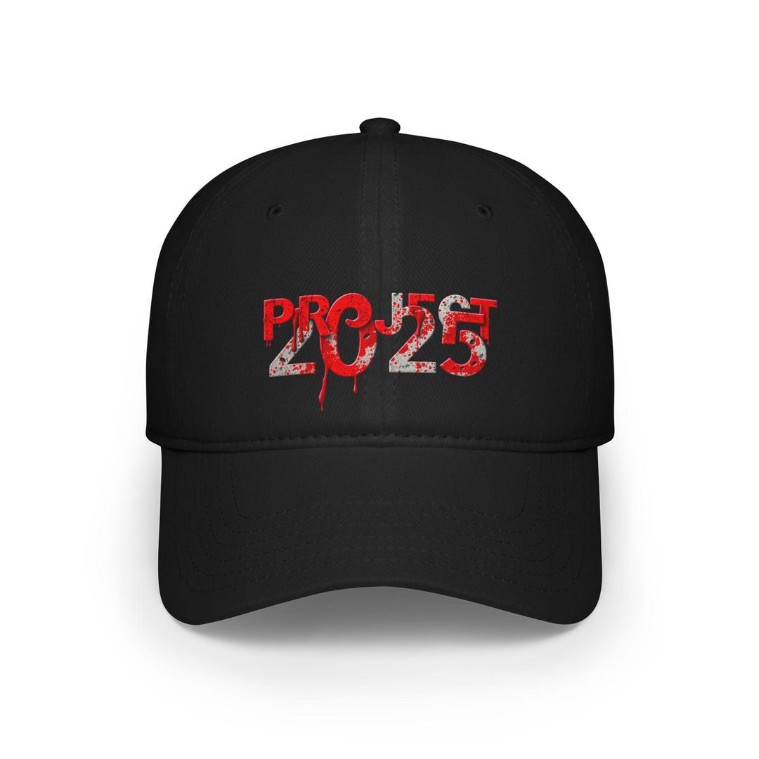 Project 2025 Political Hat Low Profile Baseball Cap - Etsy