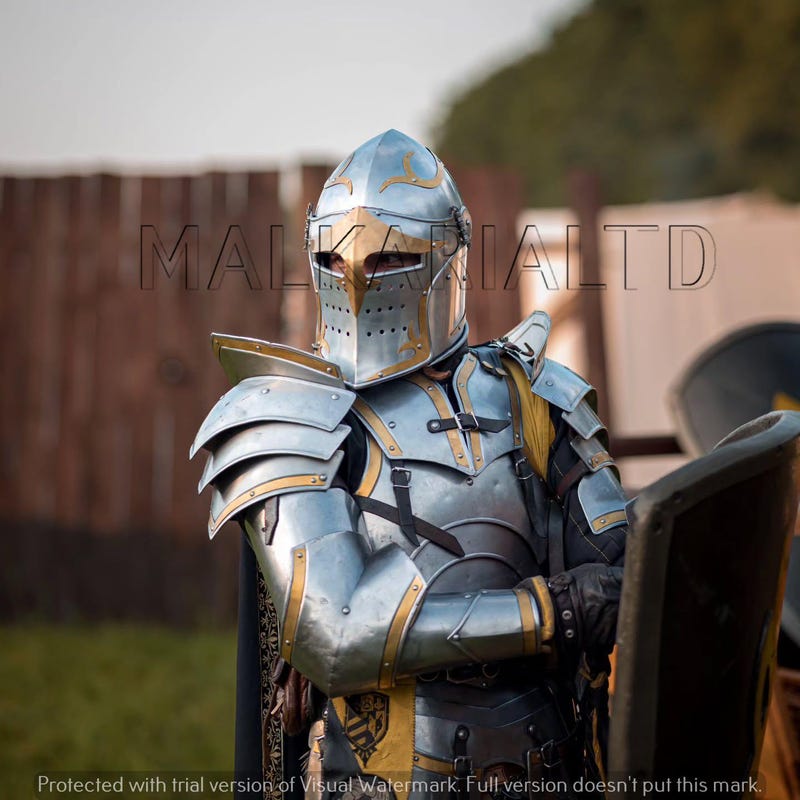 Larp Armor - Etsy