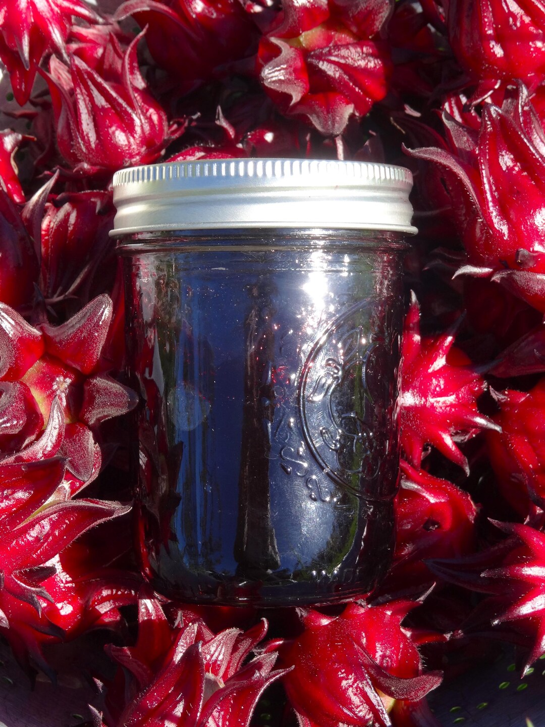 Roselle Hibiscus Jelly or Syrup 4oz/8oz - Etsy