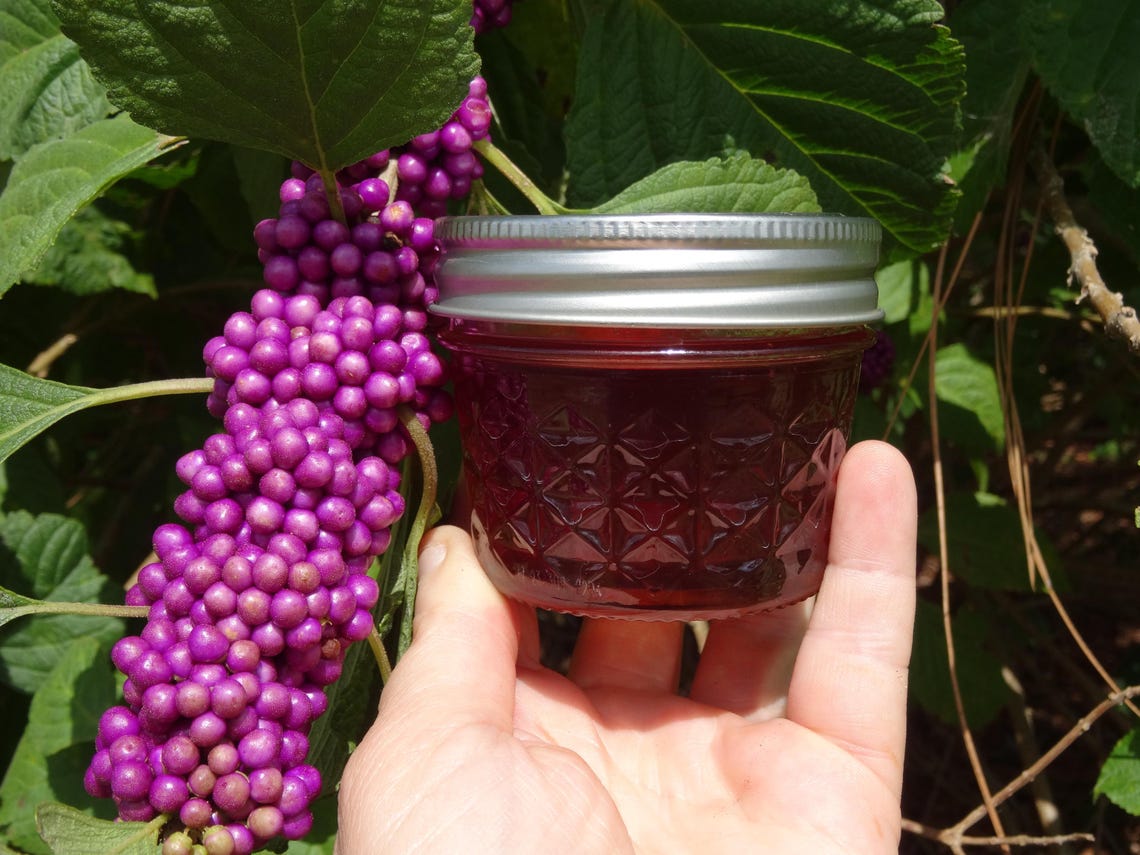 Beautyberry Jelly 4oz/8oz - Etsy