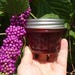 Beautyberry Jelly 4oz/8oz - Etsy