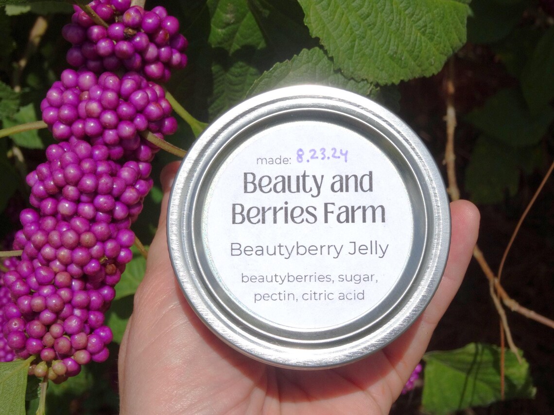 Beautyberry Jelly 4oz/8oz - Etsy