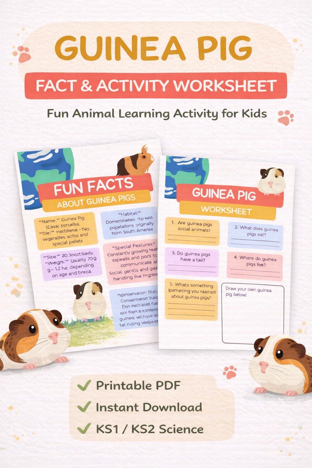 Guinea Pig Activity Pack | Fun Facts, Worksheet, Word Search ...