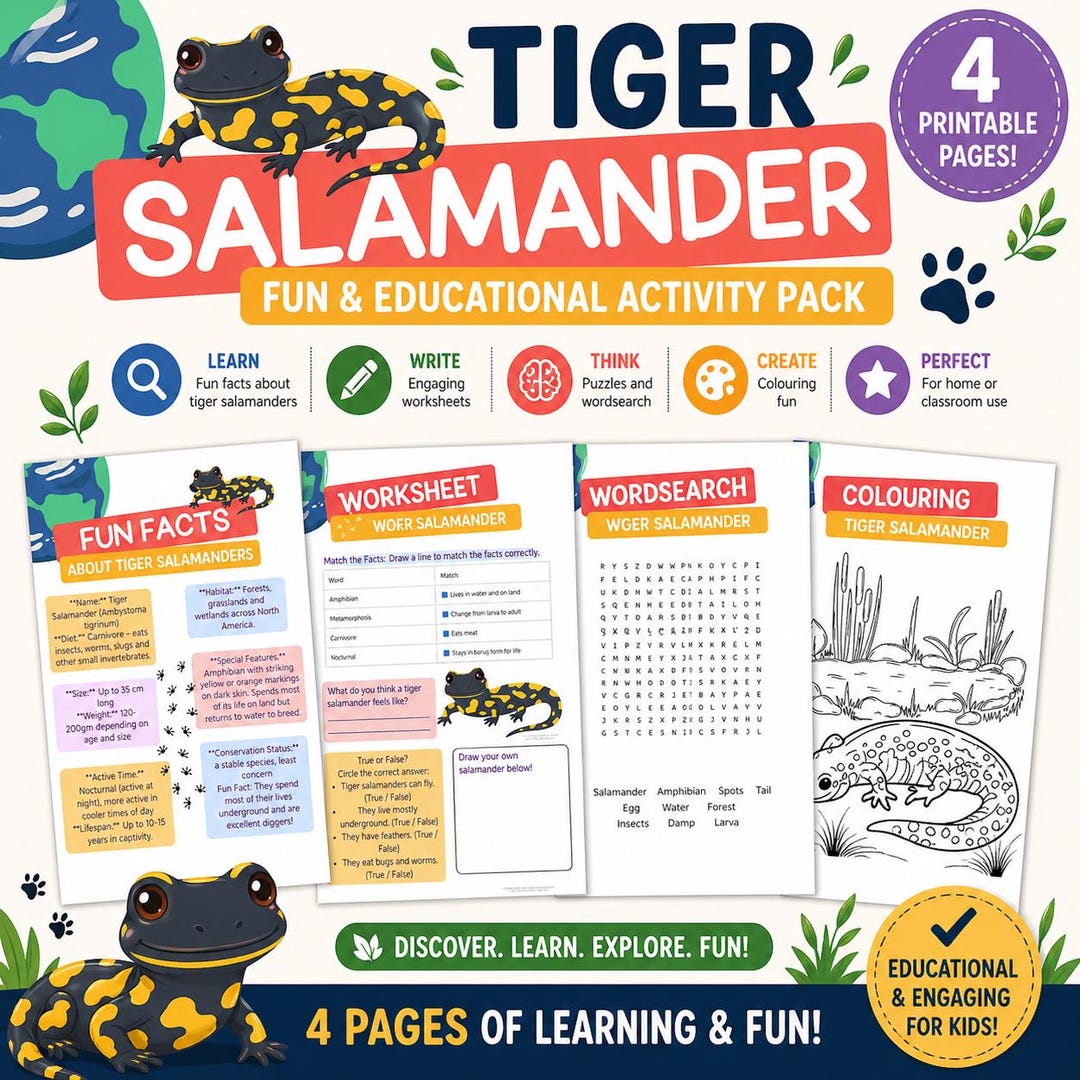 Tiger Salamander Activity Pack | Amphibian Worksheets & Fact File ...