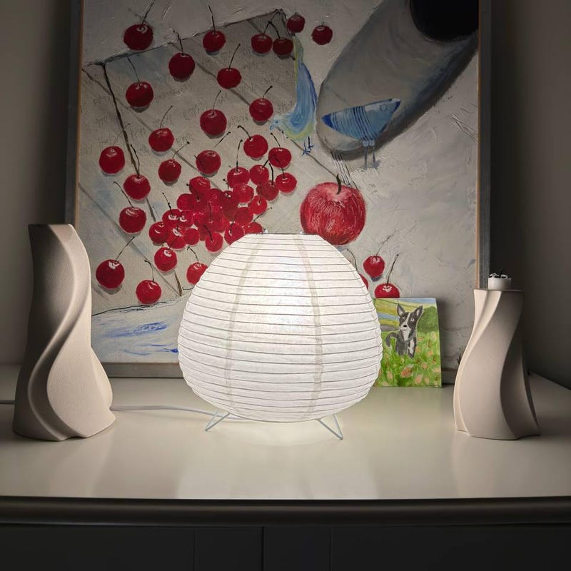 Rice Paper Lamp - Etsy