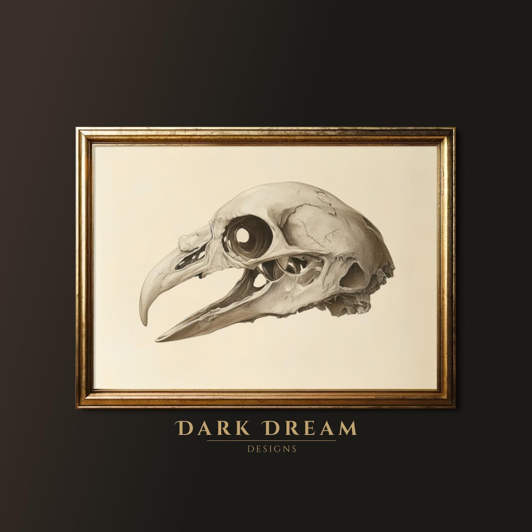 Bird Skull Art | PRINTABLE Wall Art | Halloween Art Print | Gothic ...