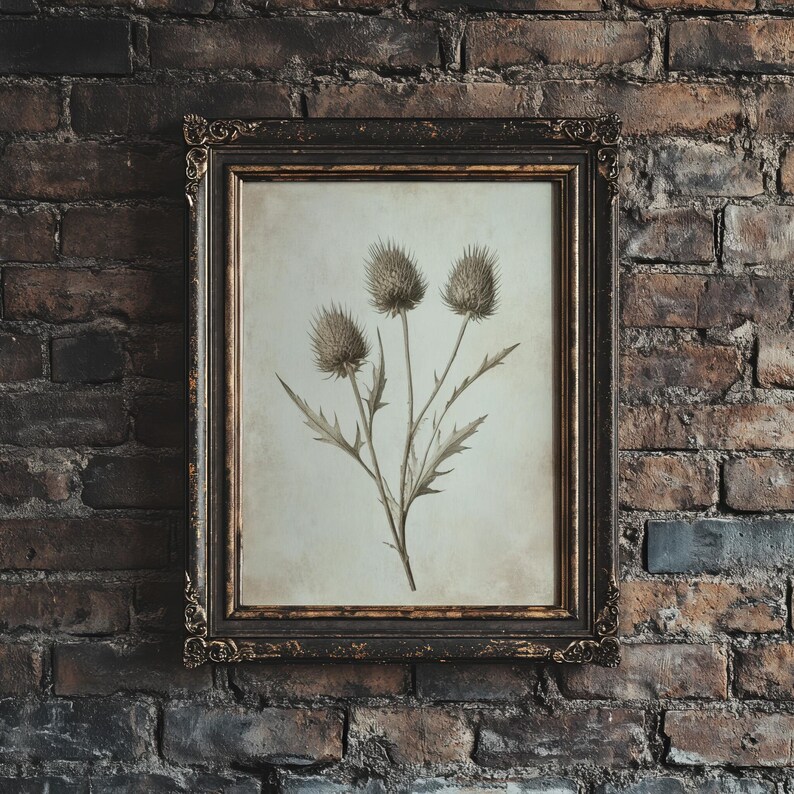 Rustic Thistle Botanical Art Print: Vintage Nature Illustration for ...