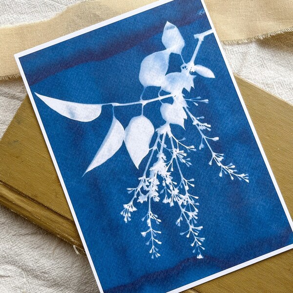 Cyanotype Print - Etsy