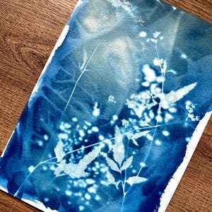 Botanical Cyanotype Art - Original One of a Kind Artwork - Wildflower ...