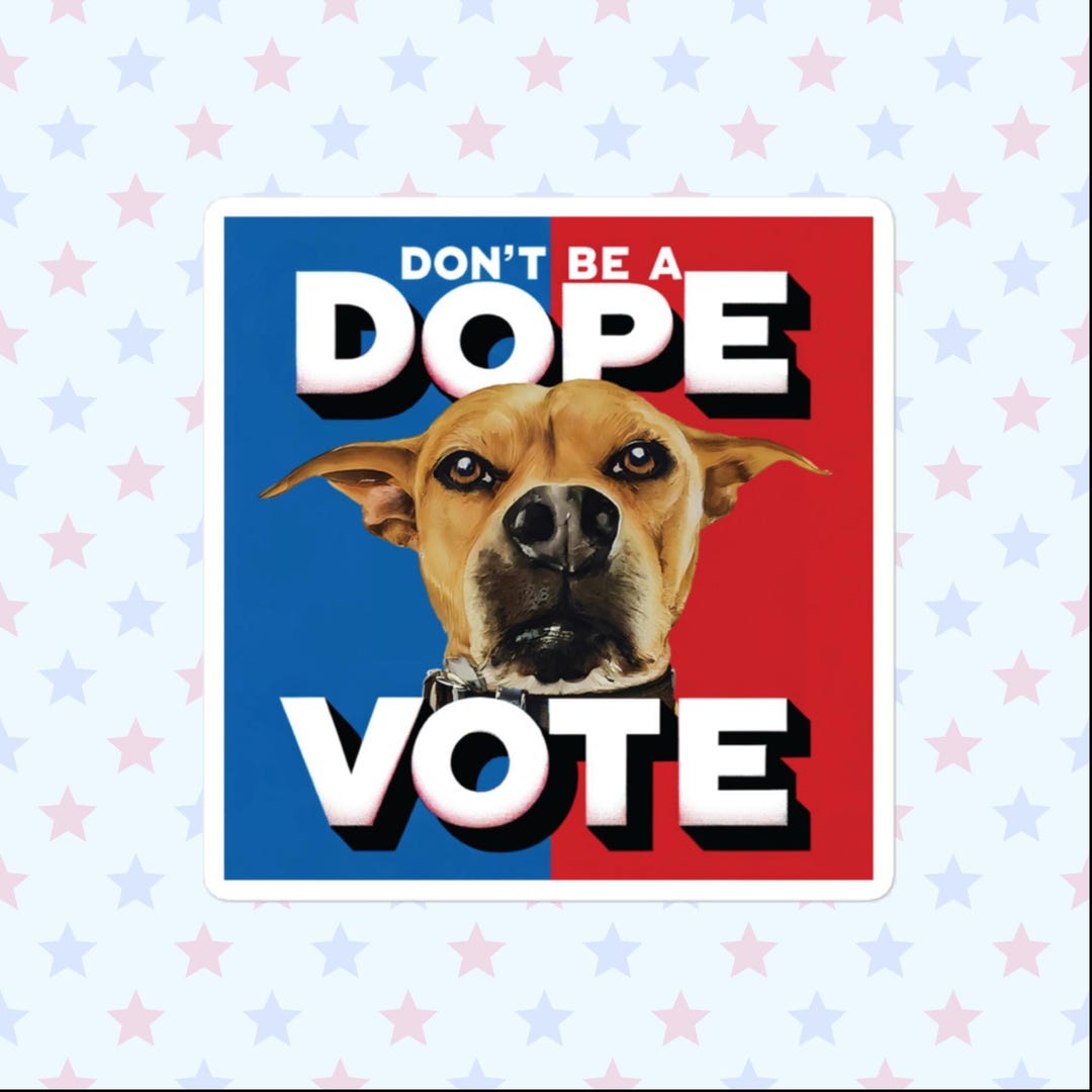 Don't Be A Dope VOTE Sticker, Large 4in Vinyl Sticker - Etsy